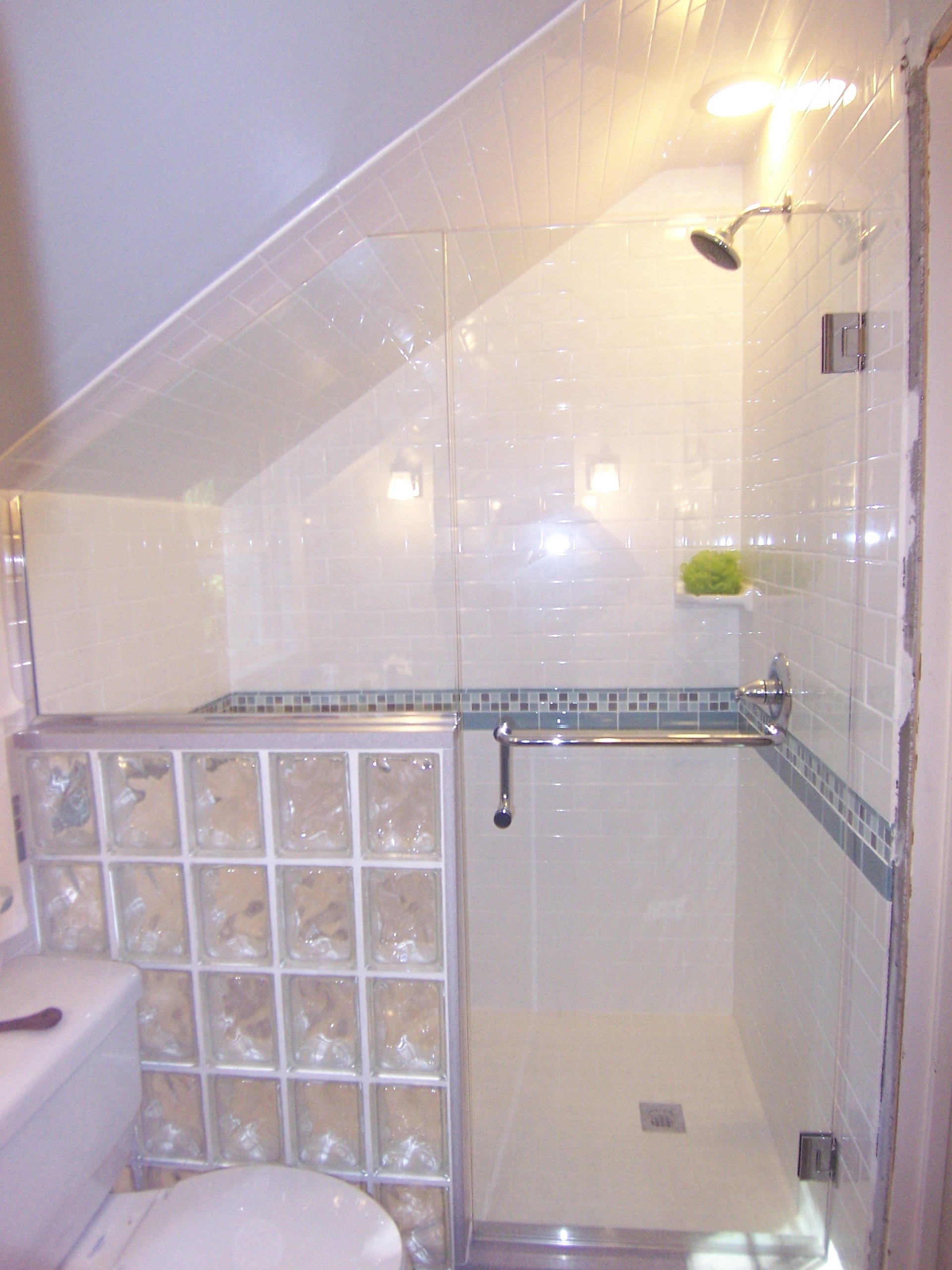 Inline Panels & 3/8" Frameless Glass Shower Doors in Orlando