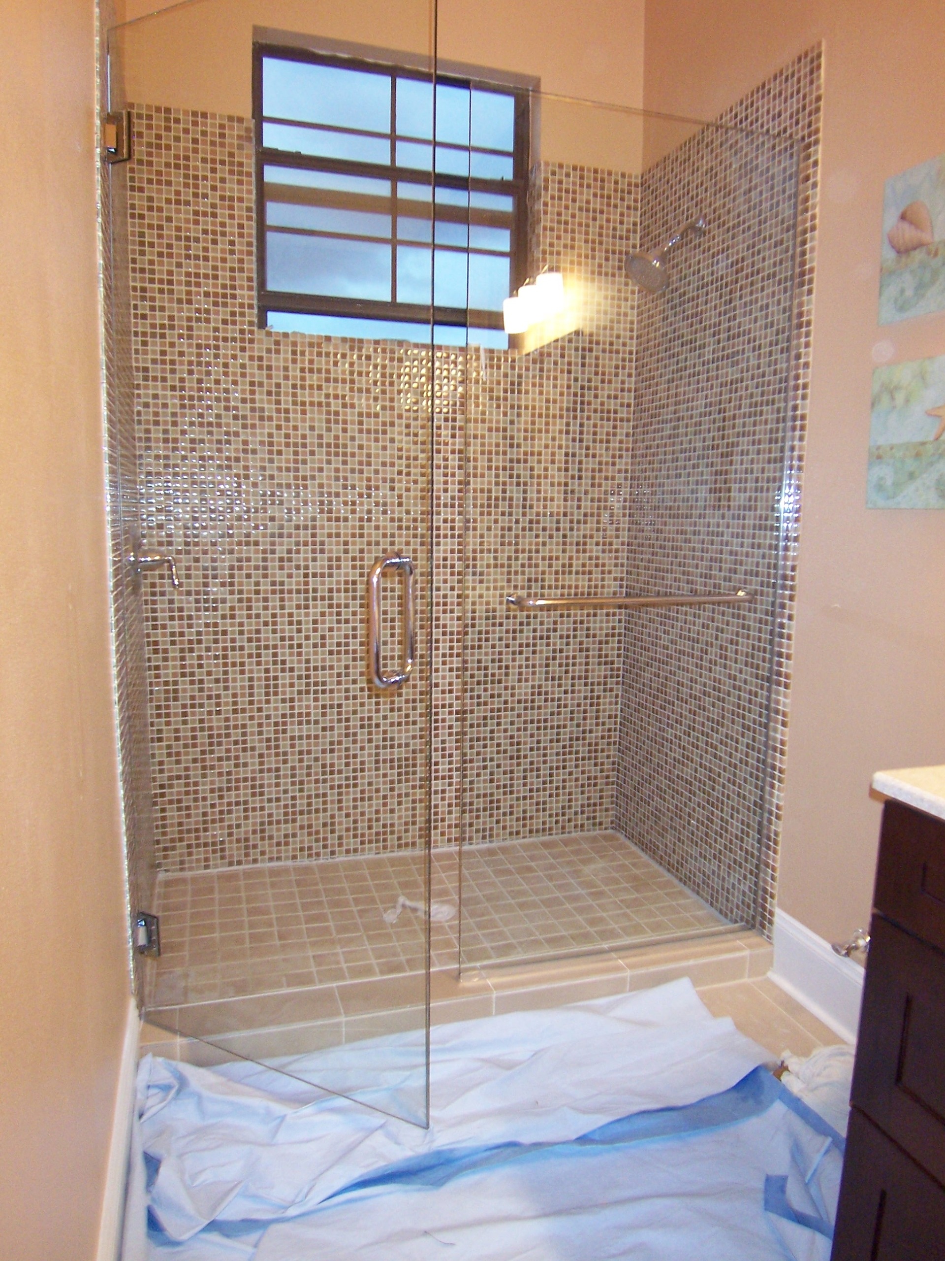 Inline Panels & 3/8" Frameless Glass Shower Doors in Orlando