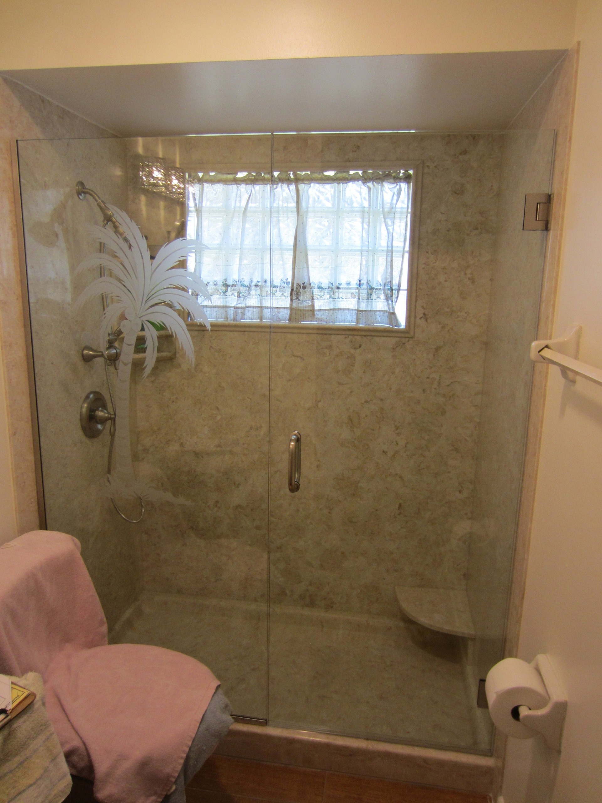 Inline Panels & 3/8" Frameless Glass Shower Doors in Orlando